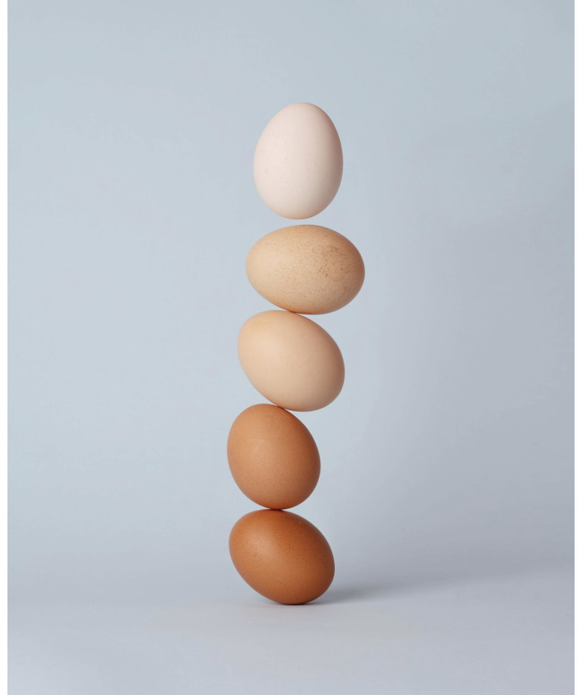 Egg Drop Engineering Challenge | Northwest Elementary